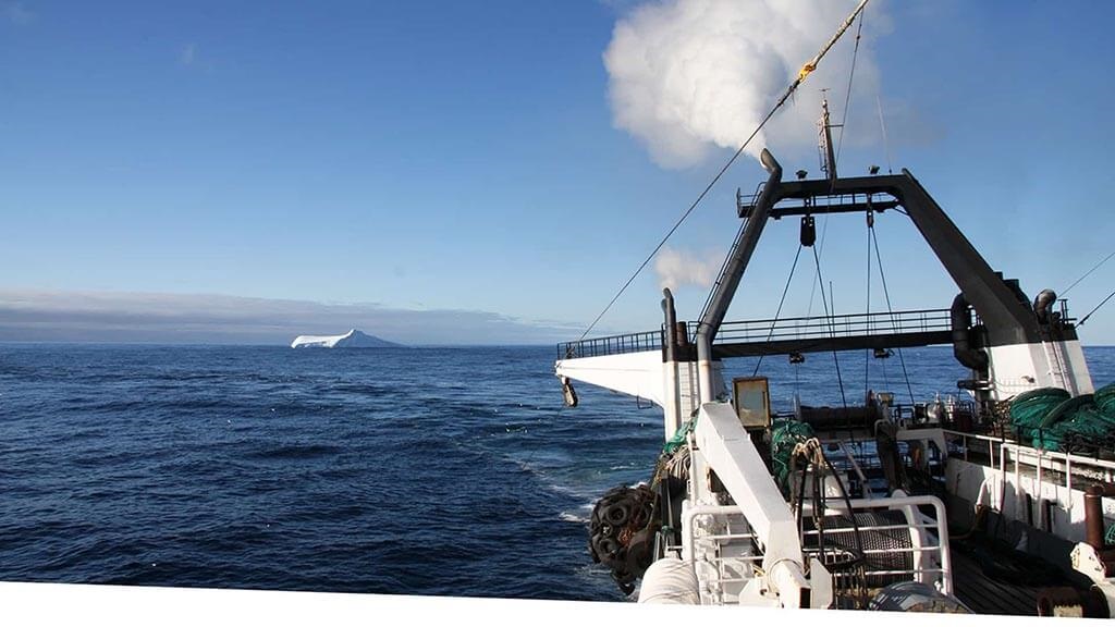Is Krill fishing sustainable? | Marine Stewardship Council