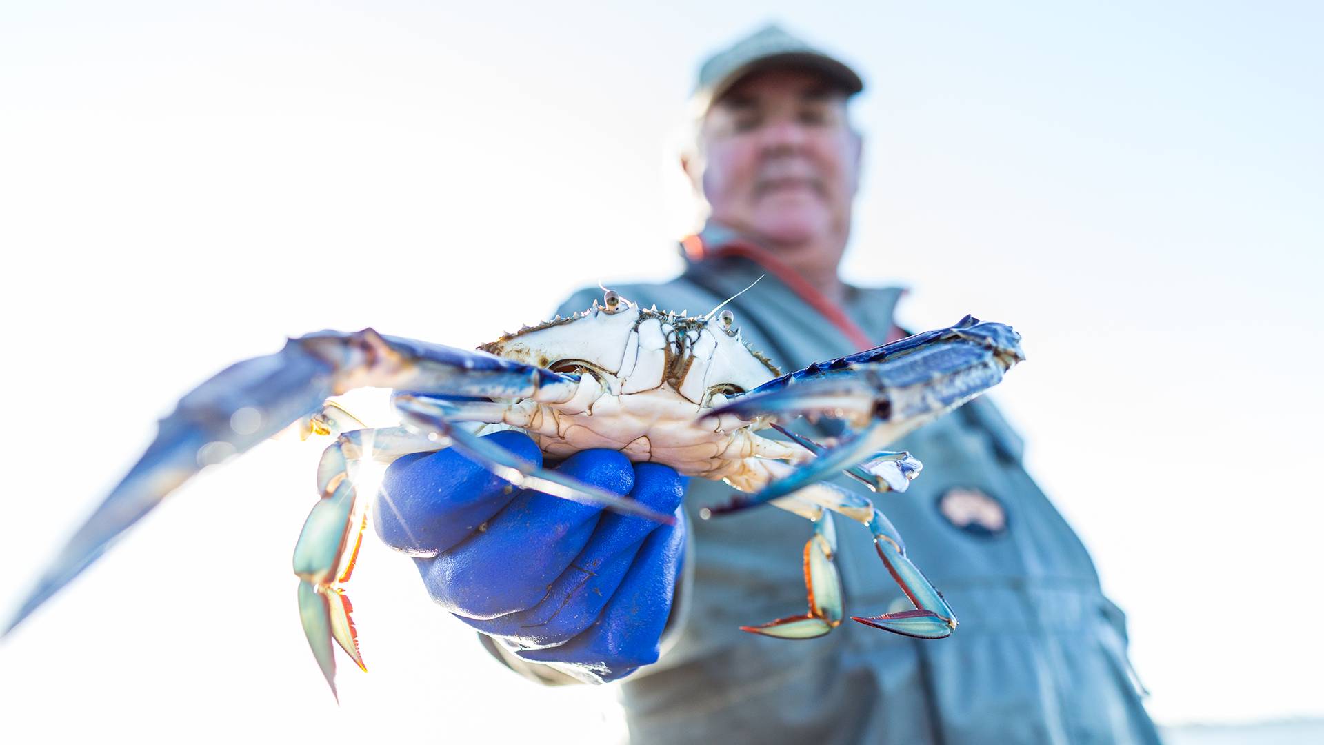 Find sustainable seafood suppliers | Marine Stewardship Council