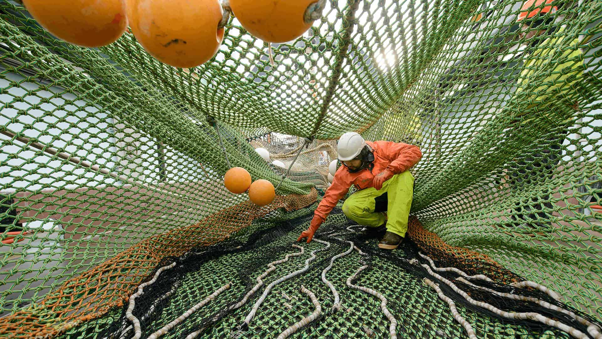 What is bycatch and how can it be managed | Marine Stewardship Council