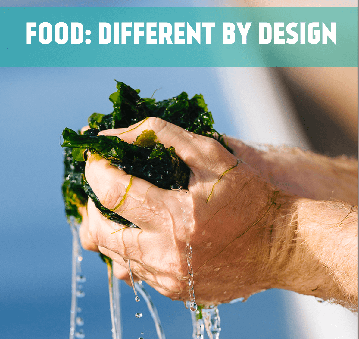 Design & Technology lessons | Marine Stewardship Council