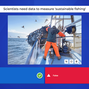 World Ocean Day resources for Australian teachers | Marine Stewardship ...