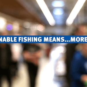 Sustainable Fishing Means More... | Marine Stewardship Council