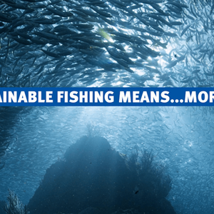 Sustainable Fishing Means More... | Marine Stewardship Council