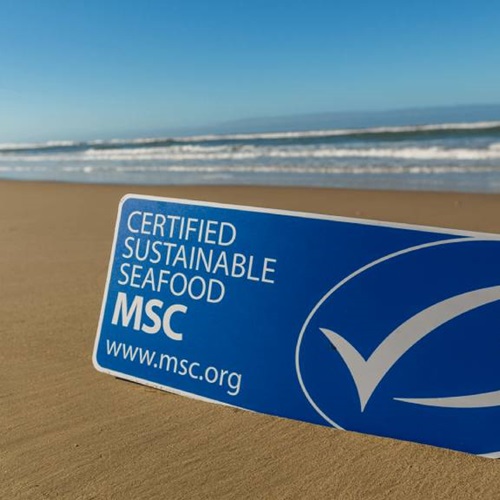 MSC Australia and New Zealand | Marine Stewardship Council