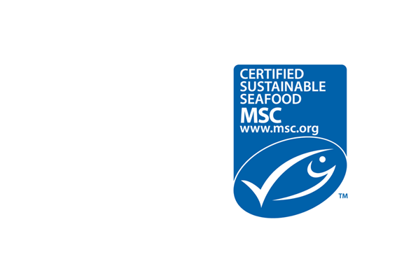 Home | Marine Stewardship Council
