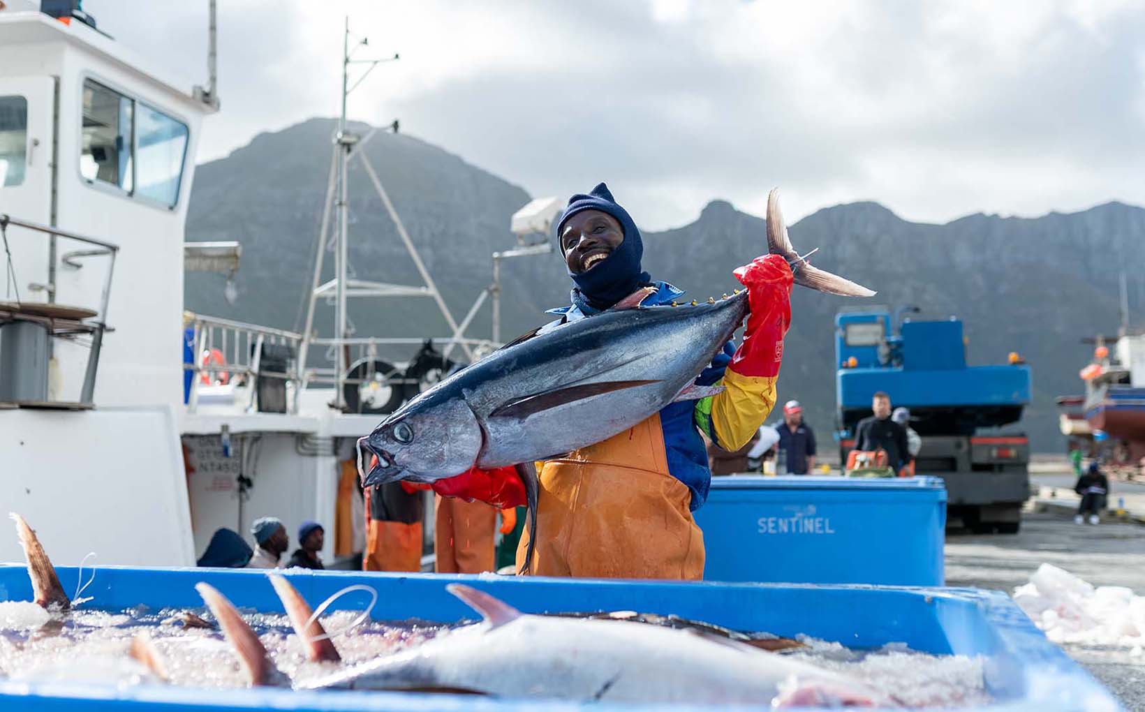 MSC Improvement Program aims to accelerate sustainable fishing ...