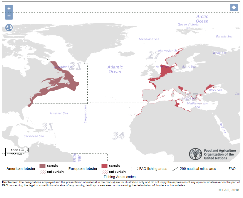 Hummer | Marine Stewardship Council