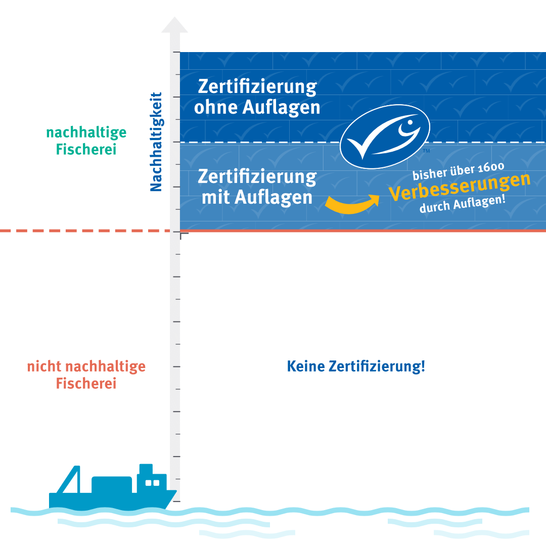 Die MSC-Standards | Marine Stewardship Council