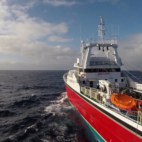 MSC | Marine Stewardship Council