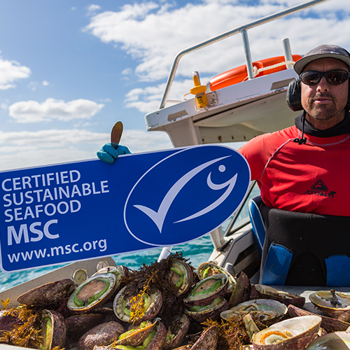 Find sustainable seafood suppliers | Marine Stewardship Council