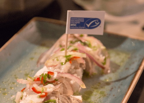 Rotbarsch | Fisch-ABC | Marine Stewardship Council