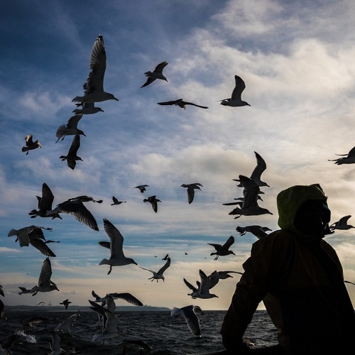 Accueil | Marine Stewardship Council