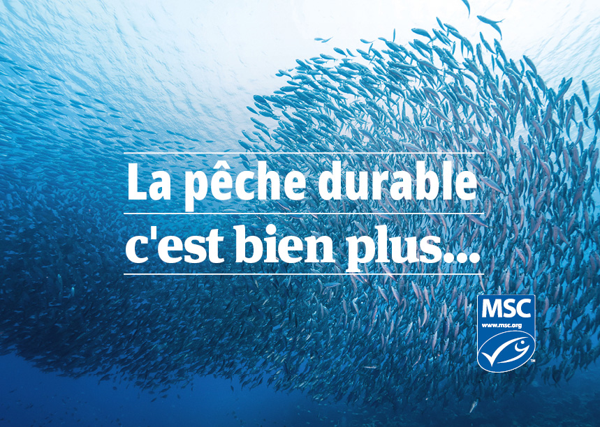 15 ans de pêche durable avec le MSC France | Marine Stewardship Council