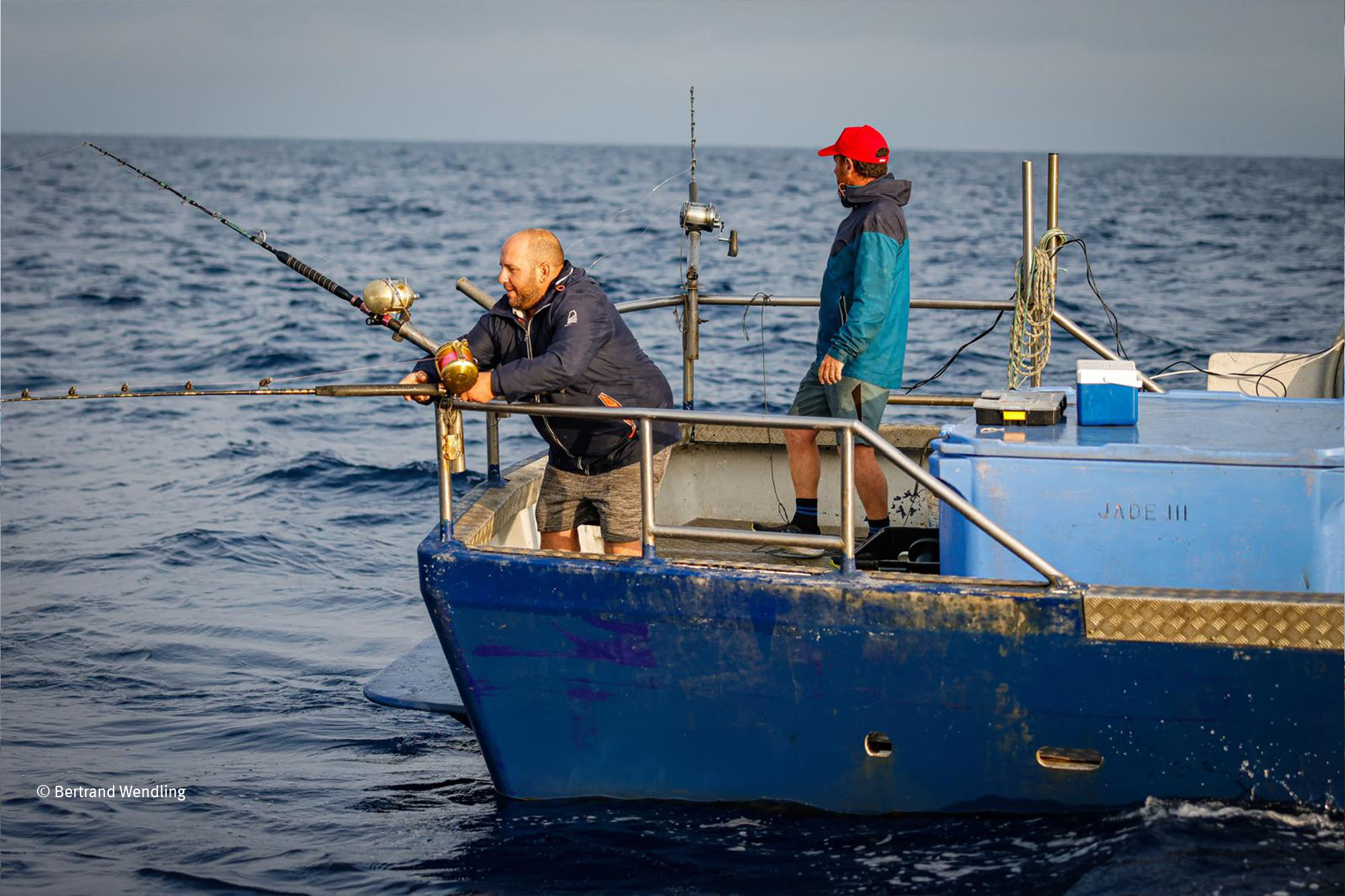 15 ans de pêche durable avec le MSC France | Marine Stewardship Council