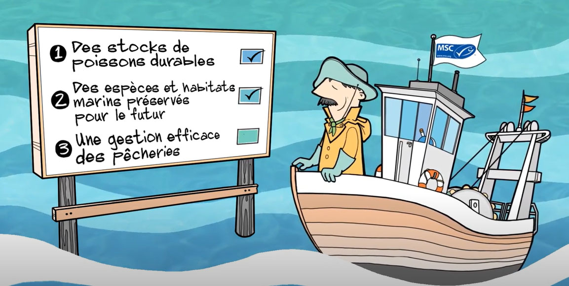 MSC France | Référentiel Pêcheries MSC | Marine Stewardship Council
