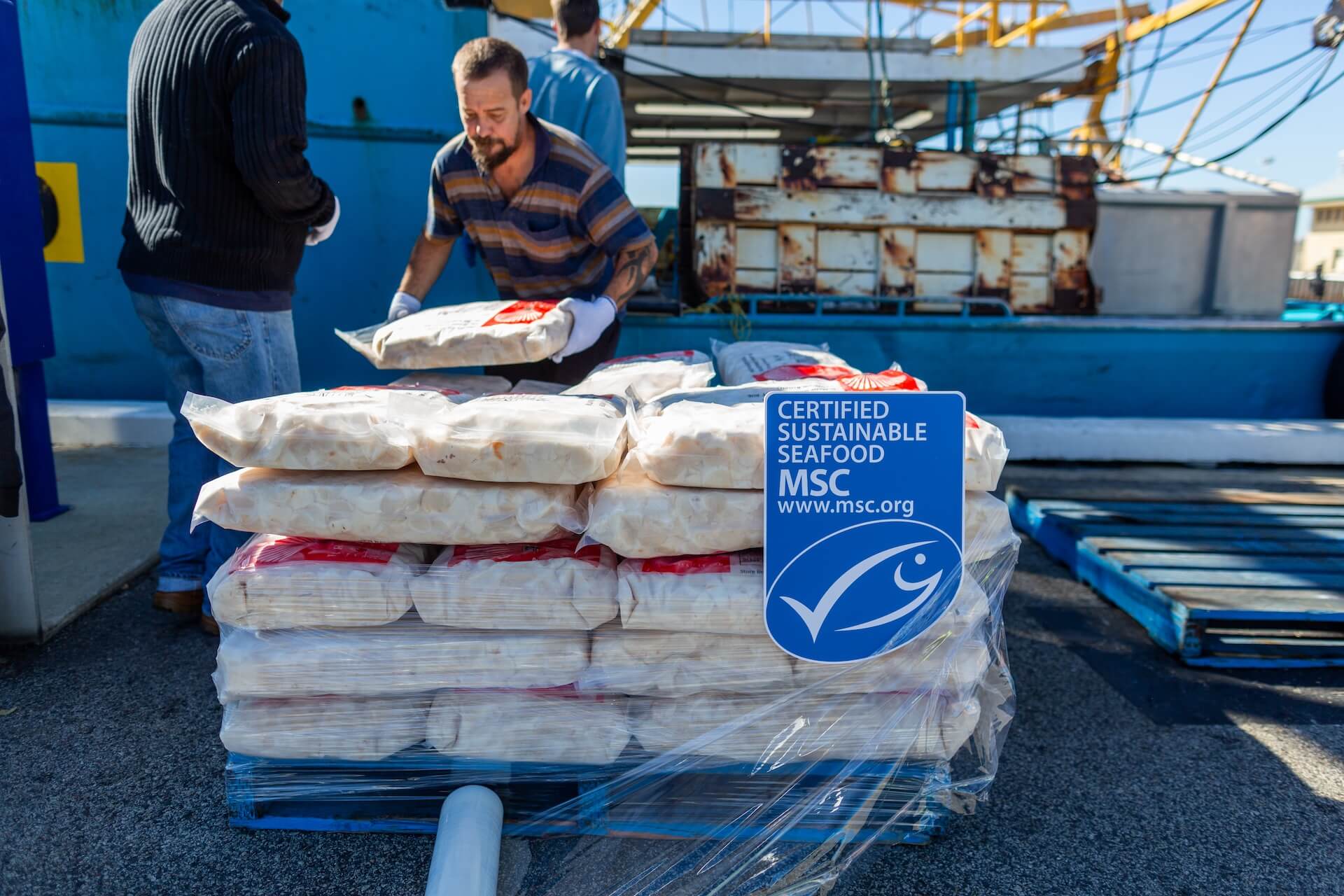 Fishing for the Future Report 2024 | Marine Stewardship Council