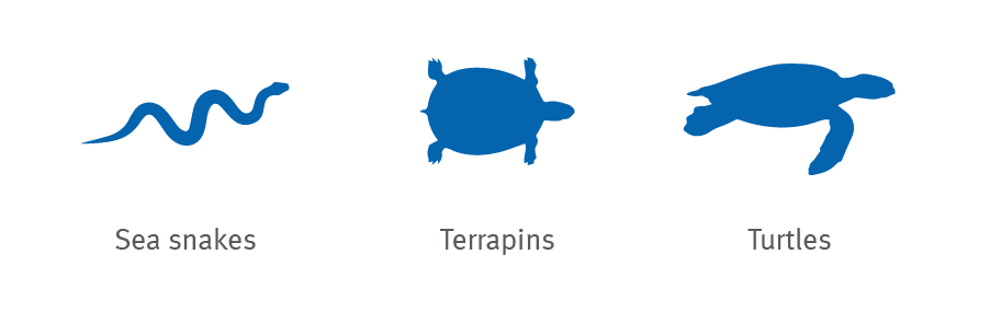 어업 개선 | Marine Stewardship Council