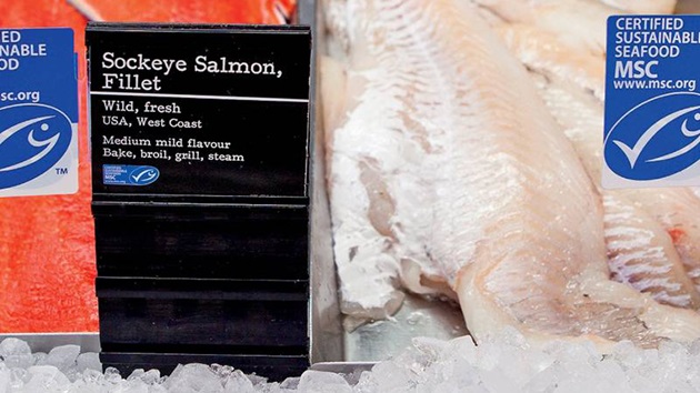 Chroń dziką naturę oceanów - wybieraj ryby ze znakiem MSC! | Marine ...