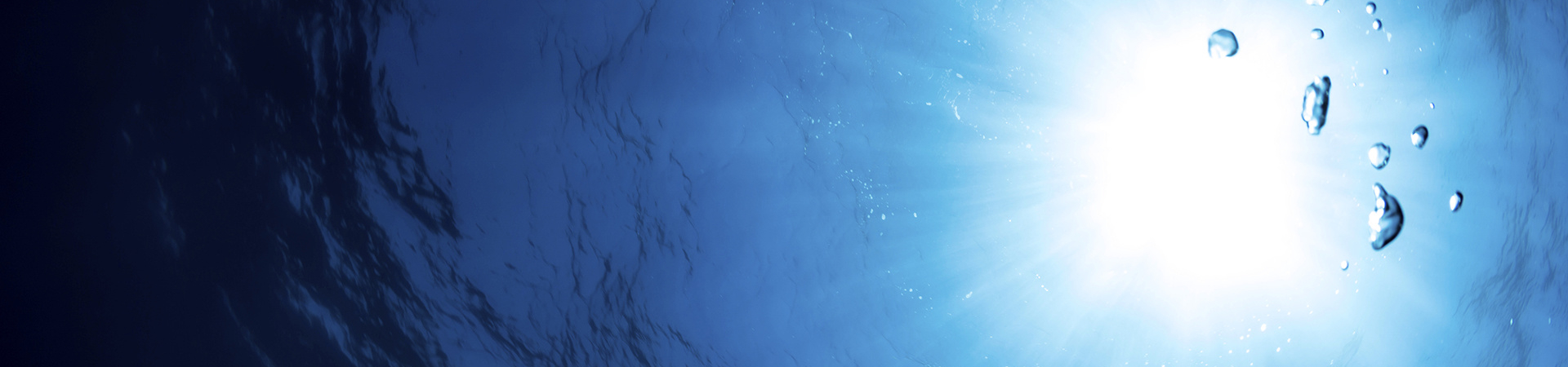 Premios Mares Para Siempre | Marine Stewardship Council