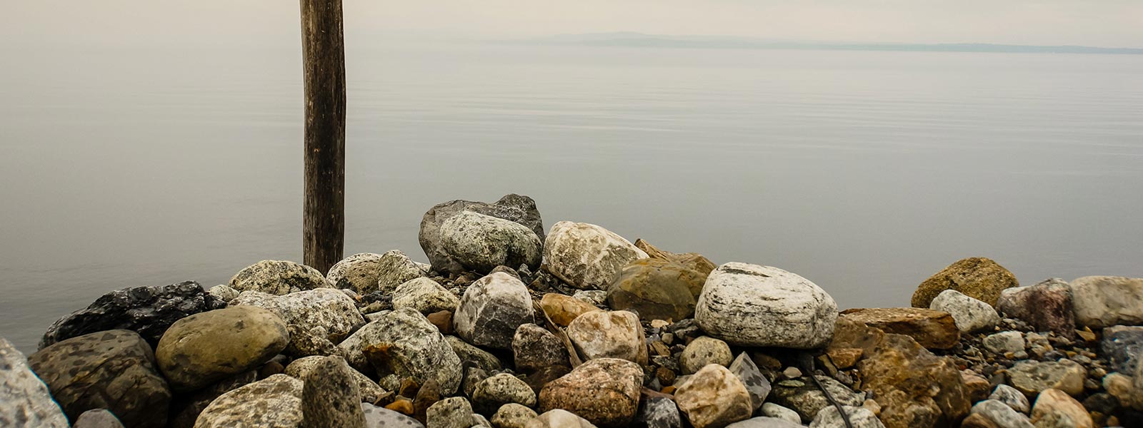 MSC Media Center | Marine Stewardship Council