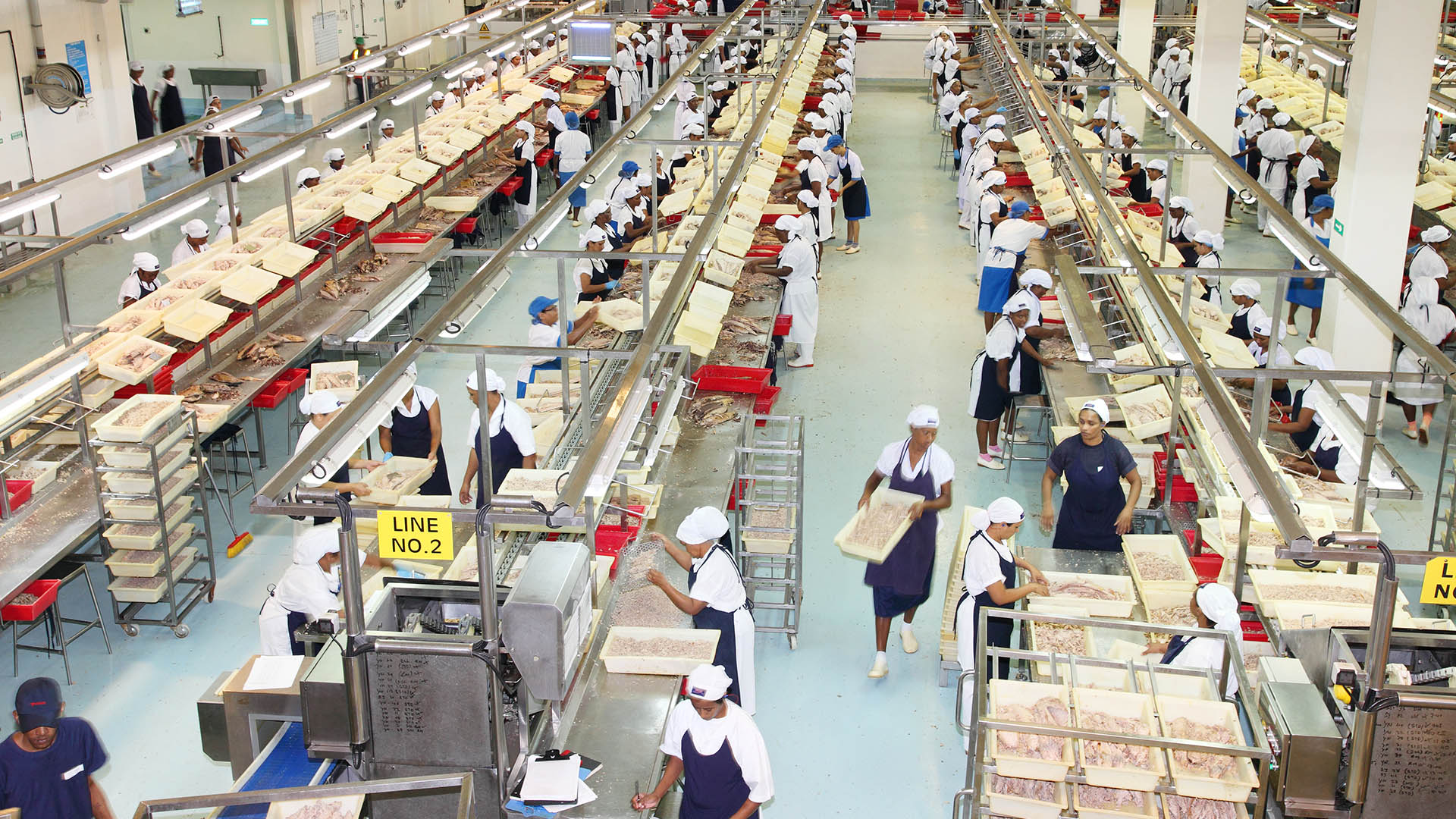 Talking Tuna: Chris Shearlock, Princes UK | Marine Stewardship Council