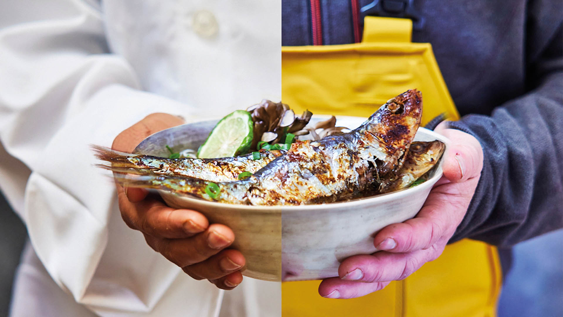 Annual Report 2022 Summary | Marine Stewardship Council