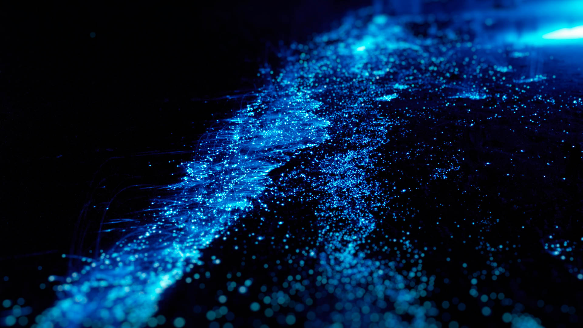 UN Decade of Ocean Science | Marine Stewardship Council