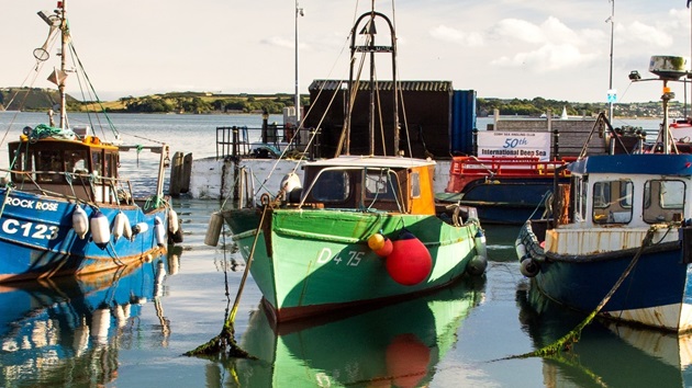 Fisheries - Become MSC certified | Marine Stewardship Council