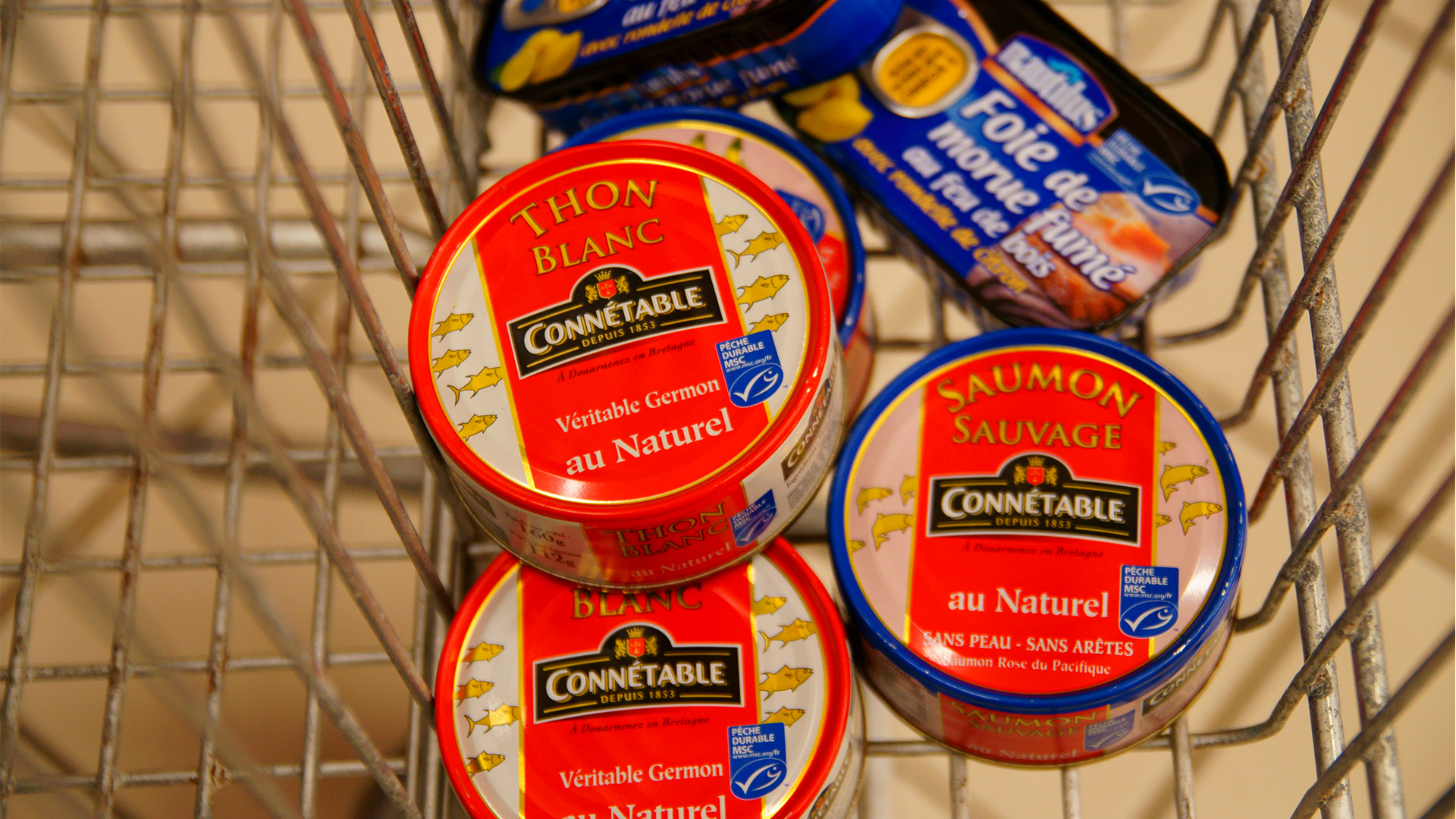 Buy MSC labelled sustainable seafood | Marine Stewardship Council