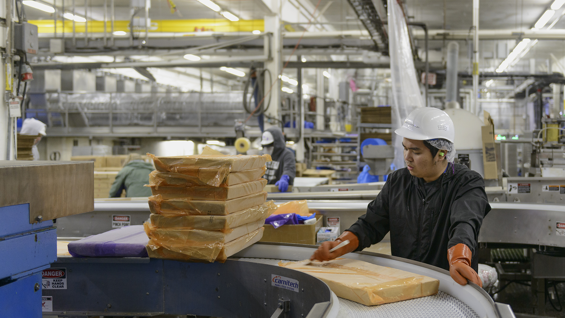 MSC certification for supply chain | Marine Stewardship Council