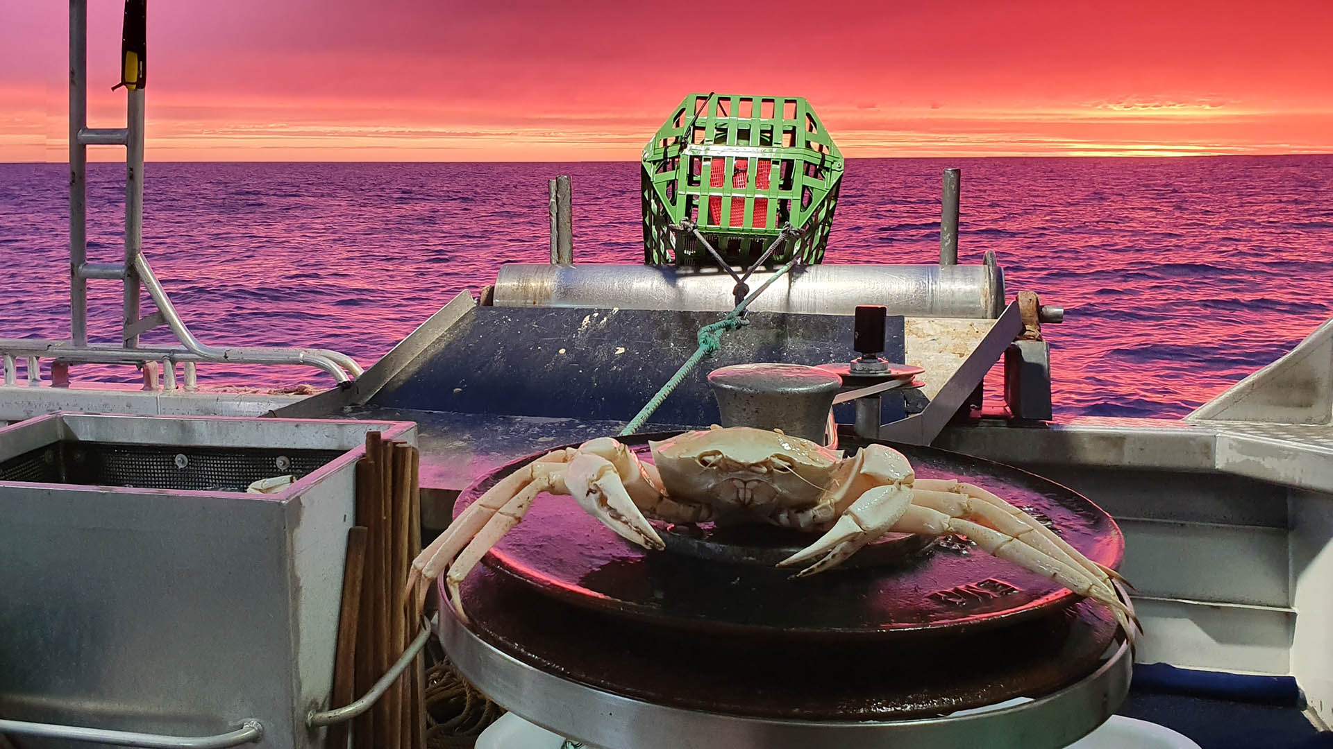 Deep-Water Habitats Australian Crab Project | Marine Stewardship Council
