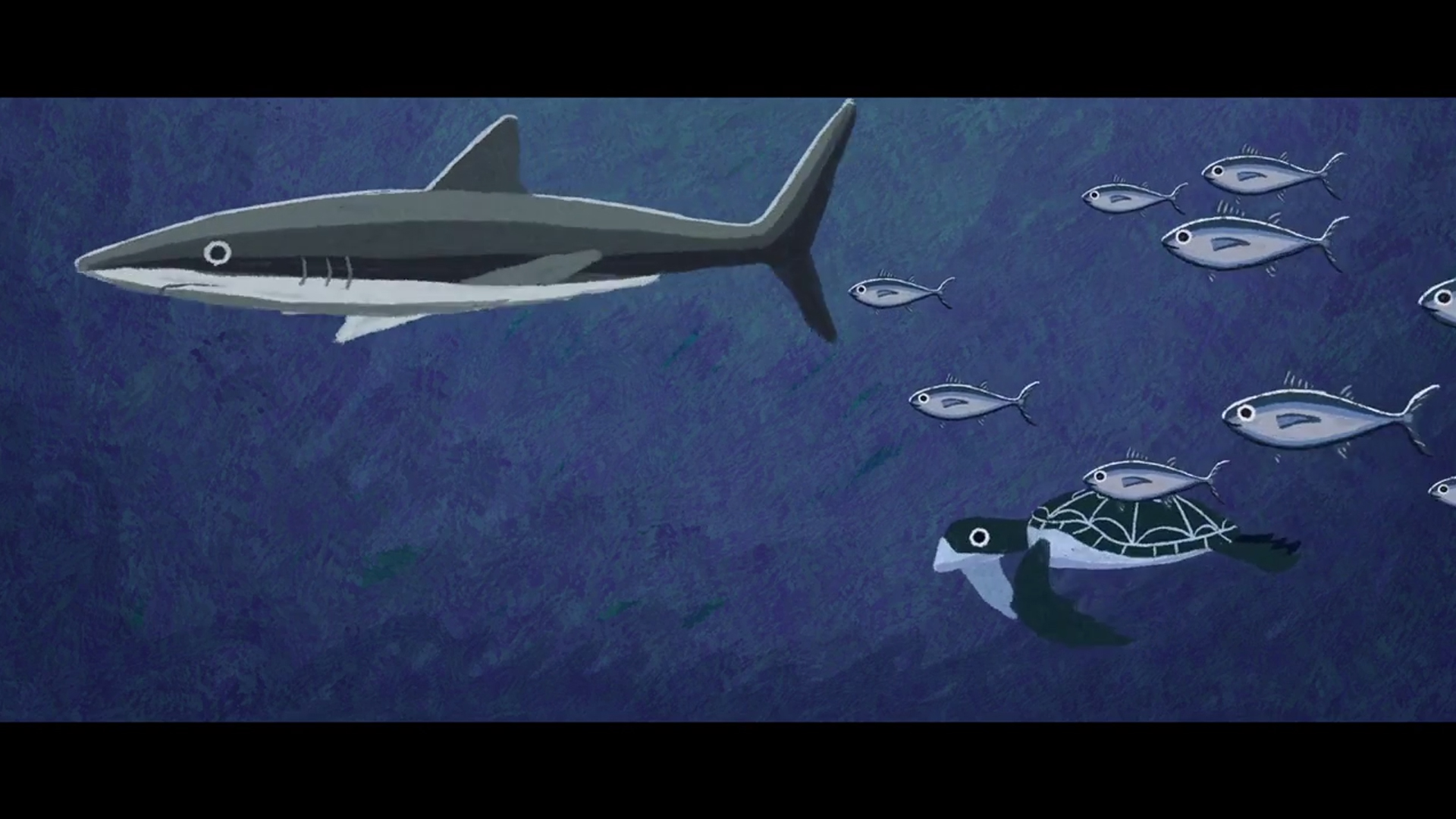 Edukacja | Marine Stewardship Council