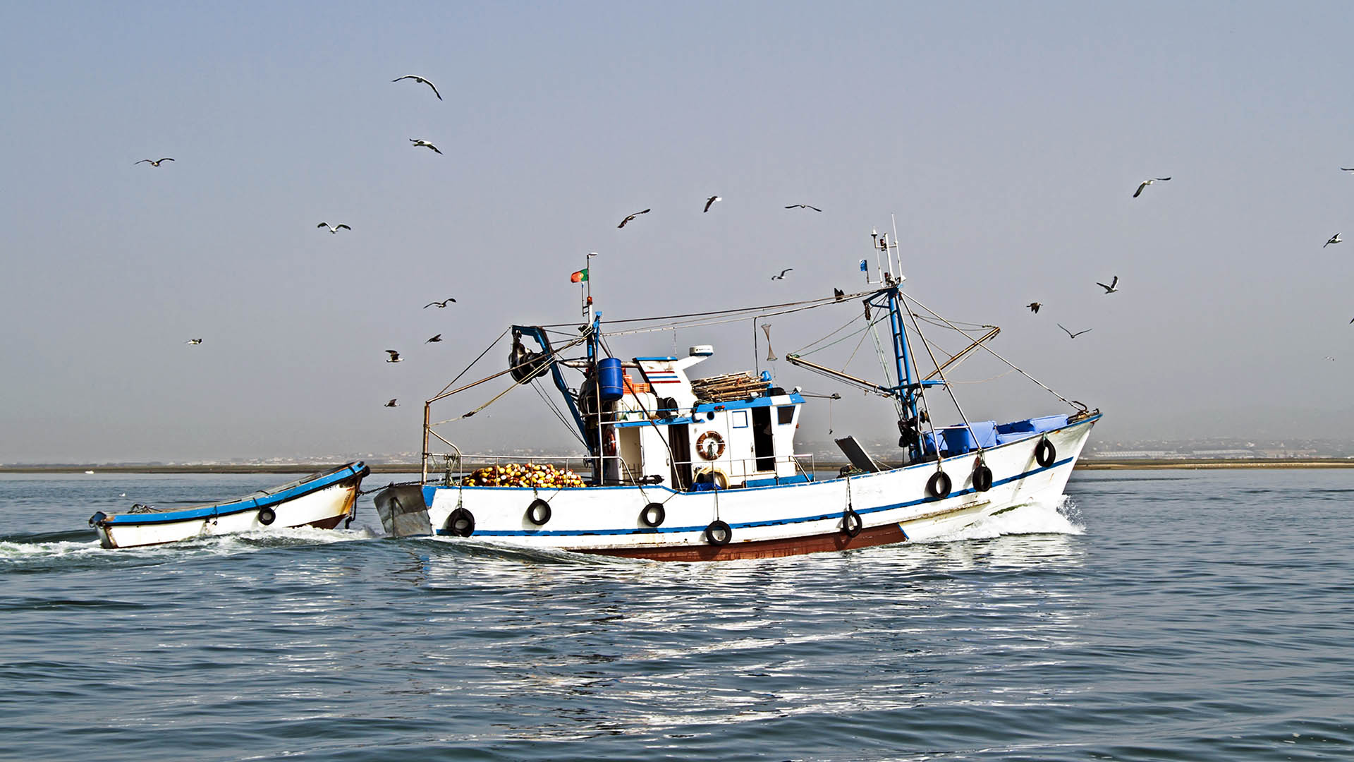 Embarca Project | Marine Stewardship Council