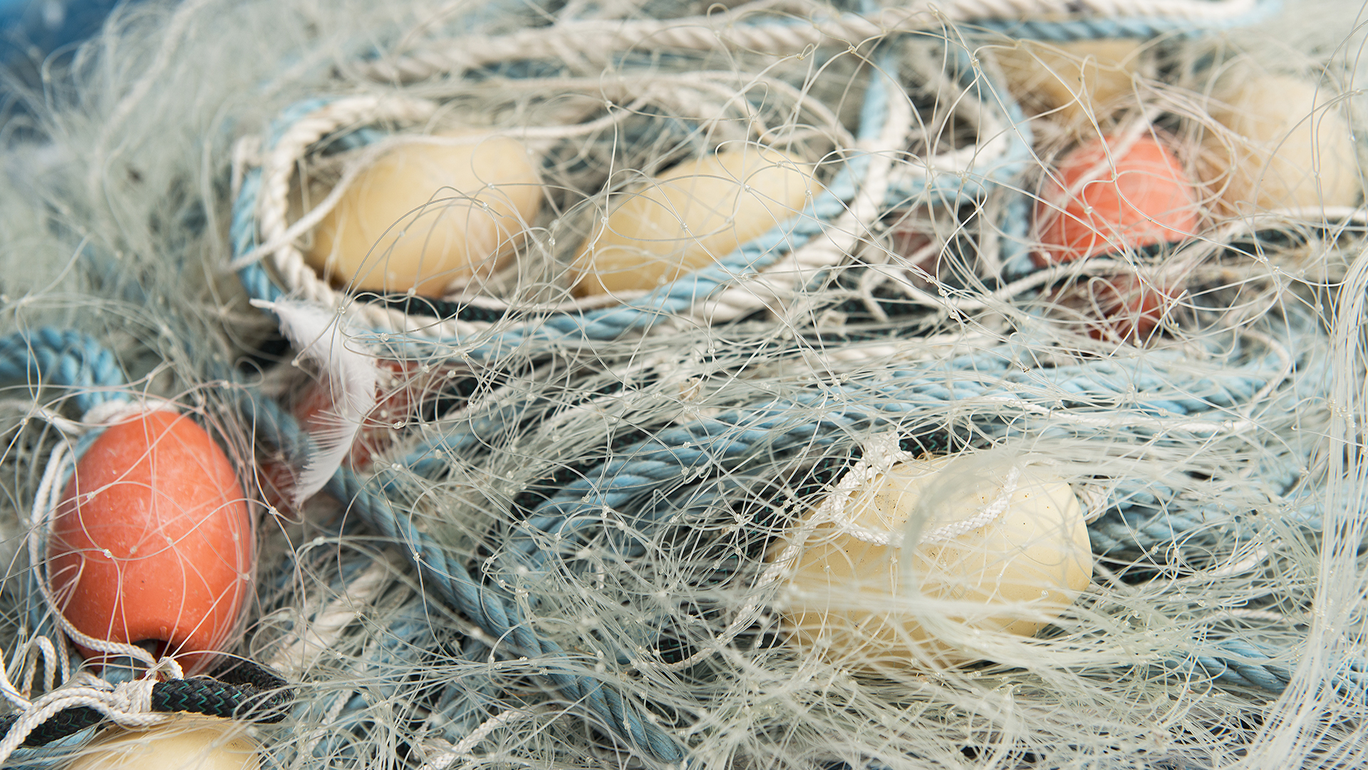 Preventing Lost Gear and Ghost Fishing | Marine Stewardship Council