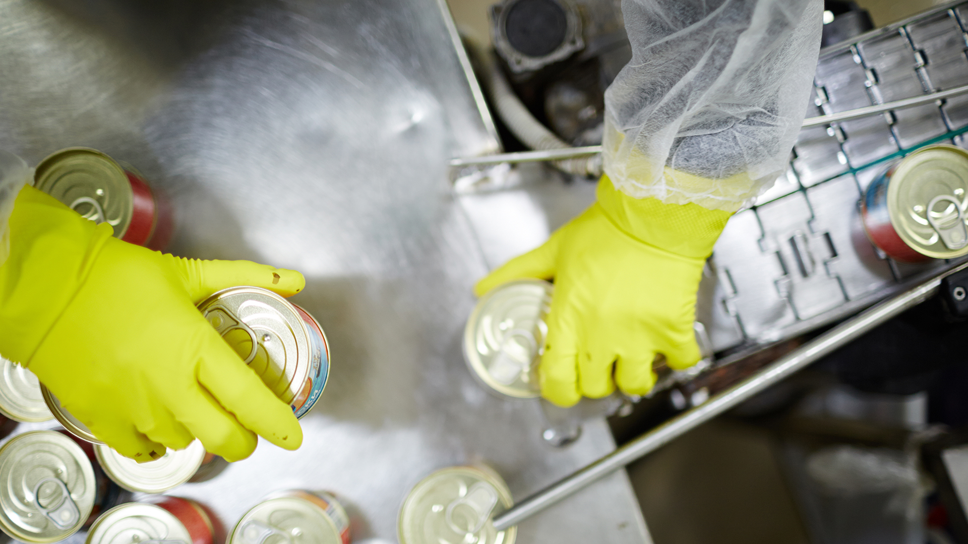 The MSC Chain of Custody Standard | Marine Stewardship Council