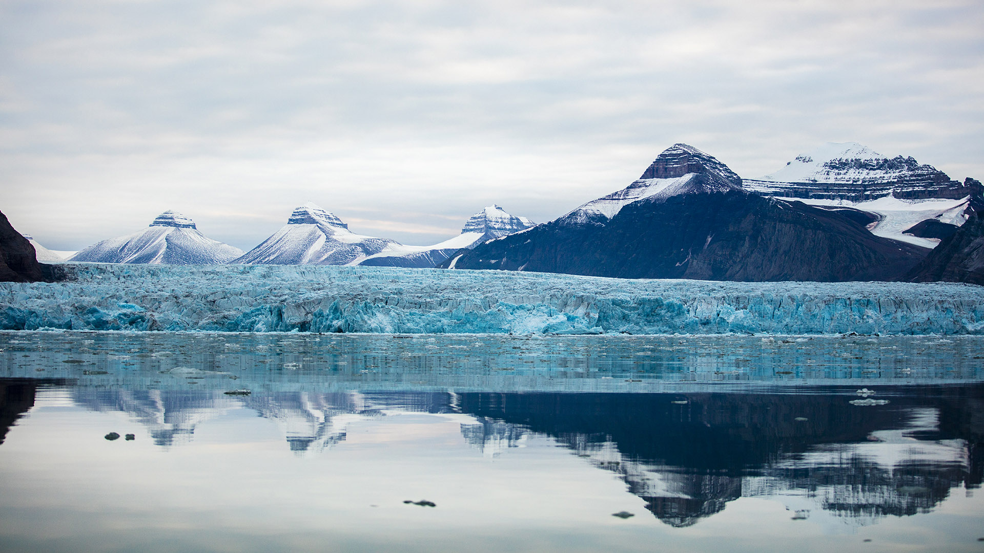 Climate change and fishing | Marine Stewardship Council