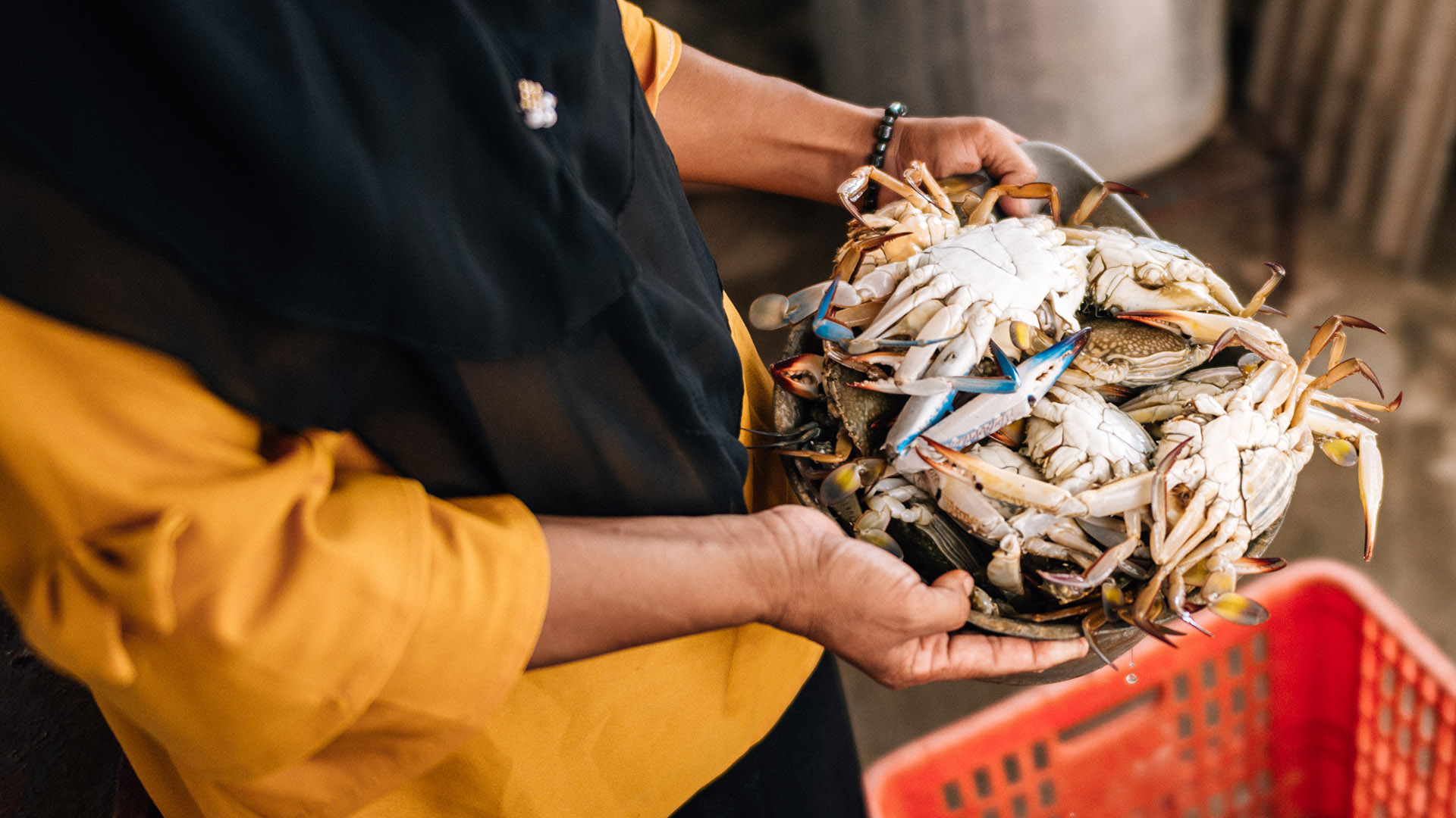 The MSC Improvement Program for Supply Chain | Marine Stewardship Council