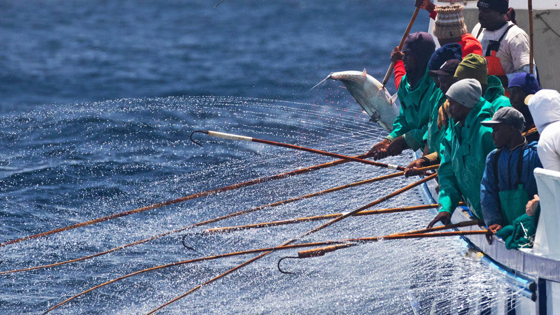 Sustainable Fishing | MSC | Marine Stewardship Council