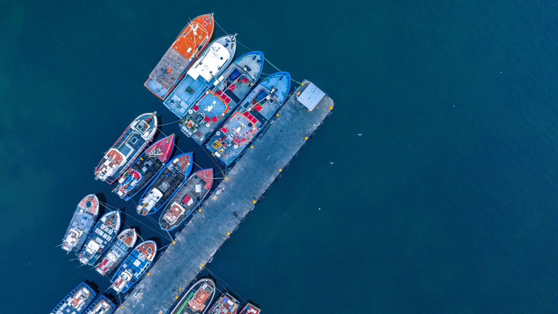 MSC Improvement Program Documents | Marine Stewardship Council