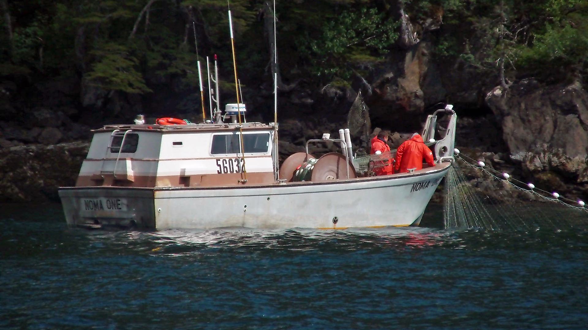 Improving data on seabird interactions in the Alaskan salmon fishery ...