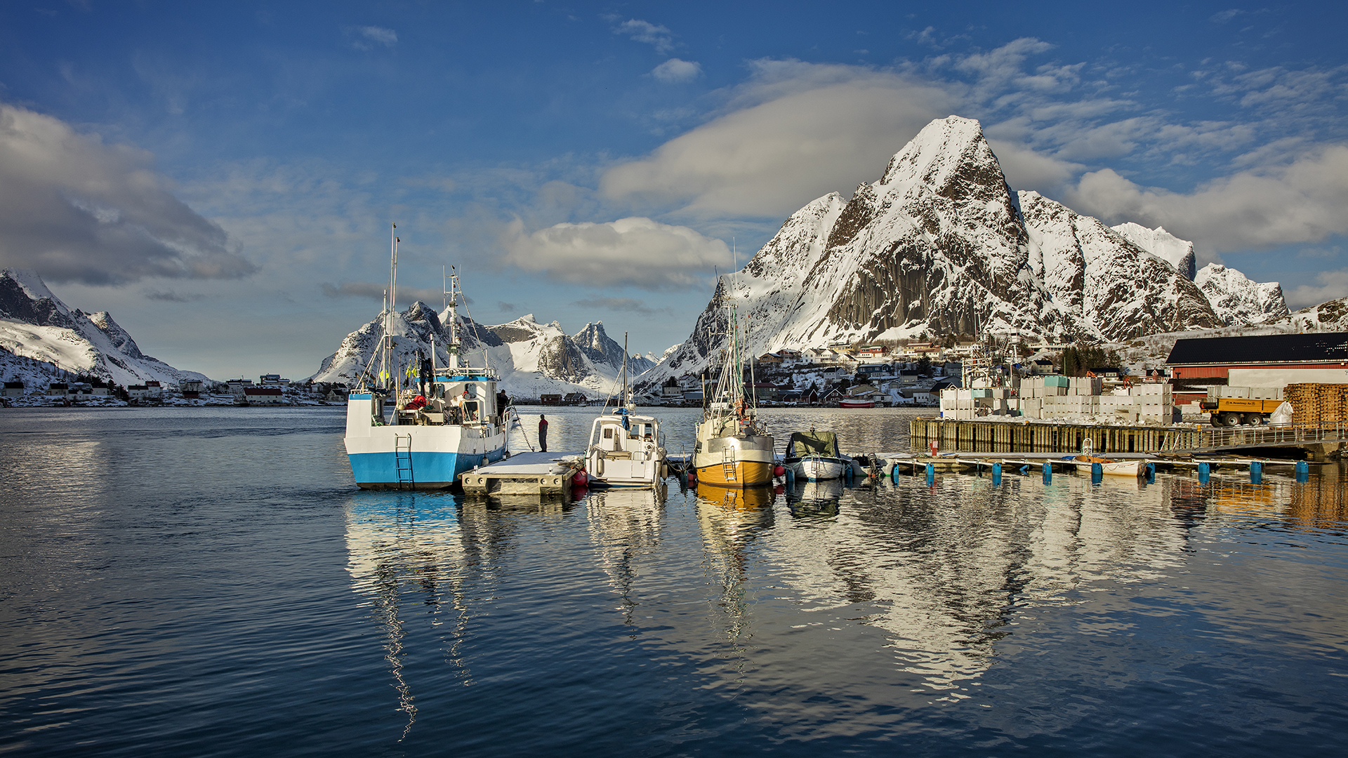 Jaarverslag MSC | Marine Stewardship Council