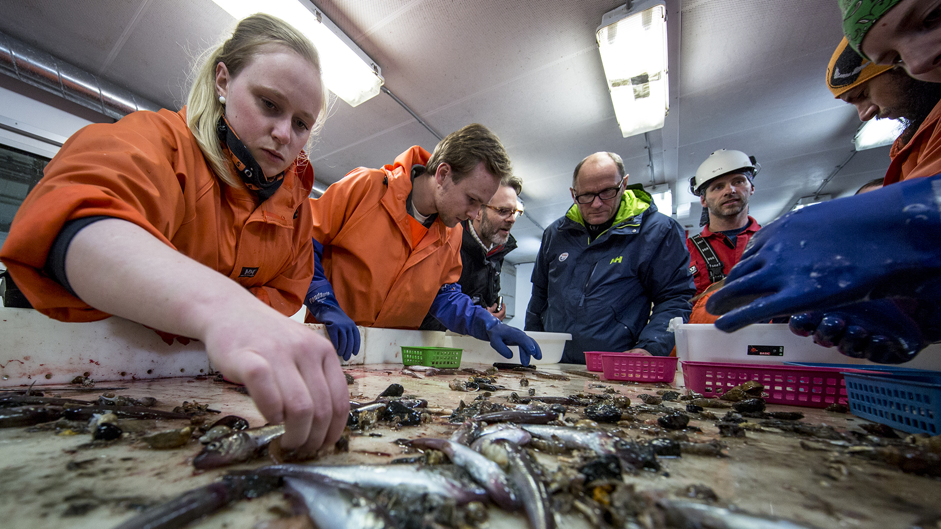 Das MSC-Forschungsstipendium | Marine Stewardship Council