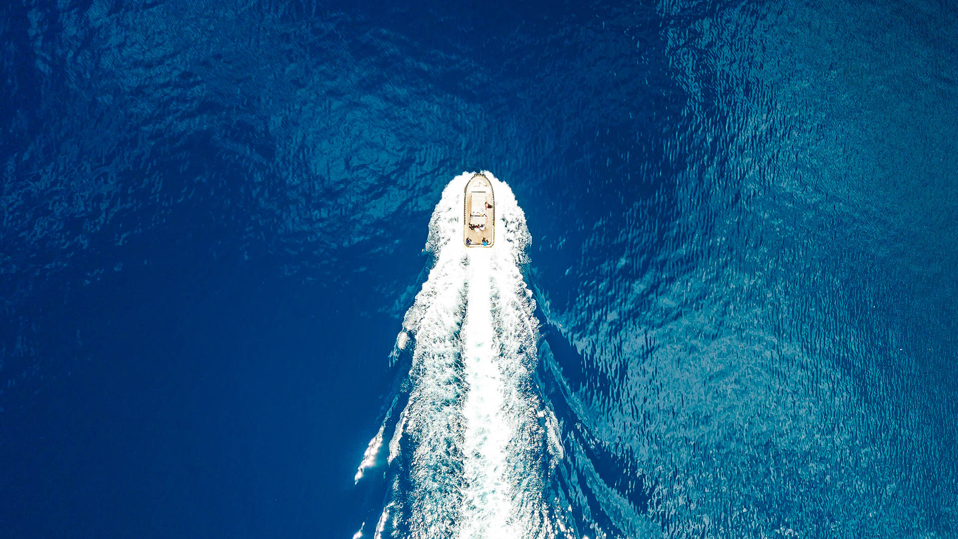 MSCの活動計画 | Marine Stewardship Council