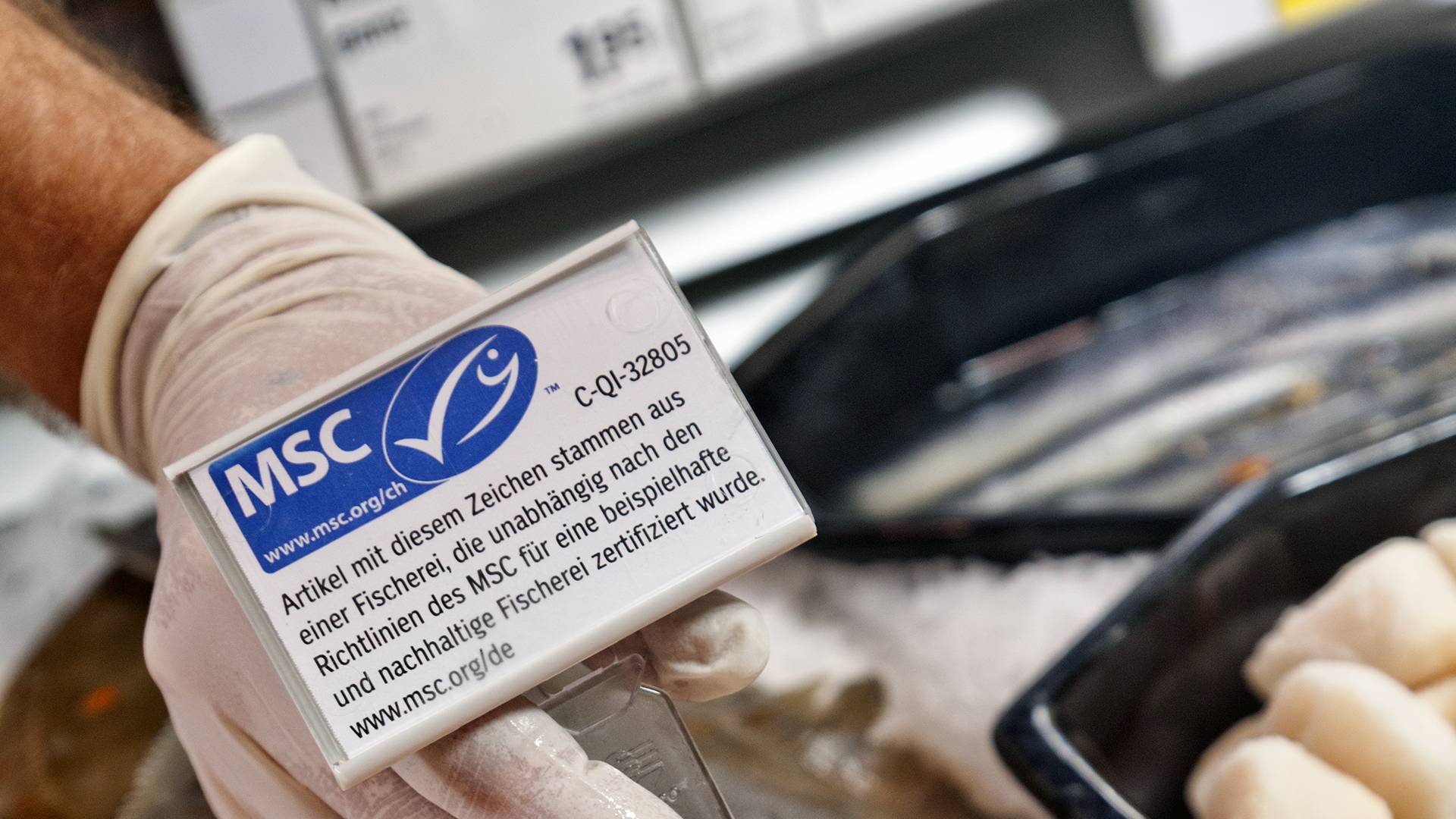 Use the blue MSC label | Marine Stewardship Council