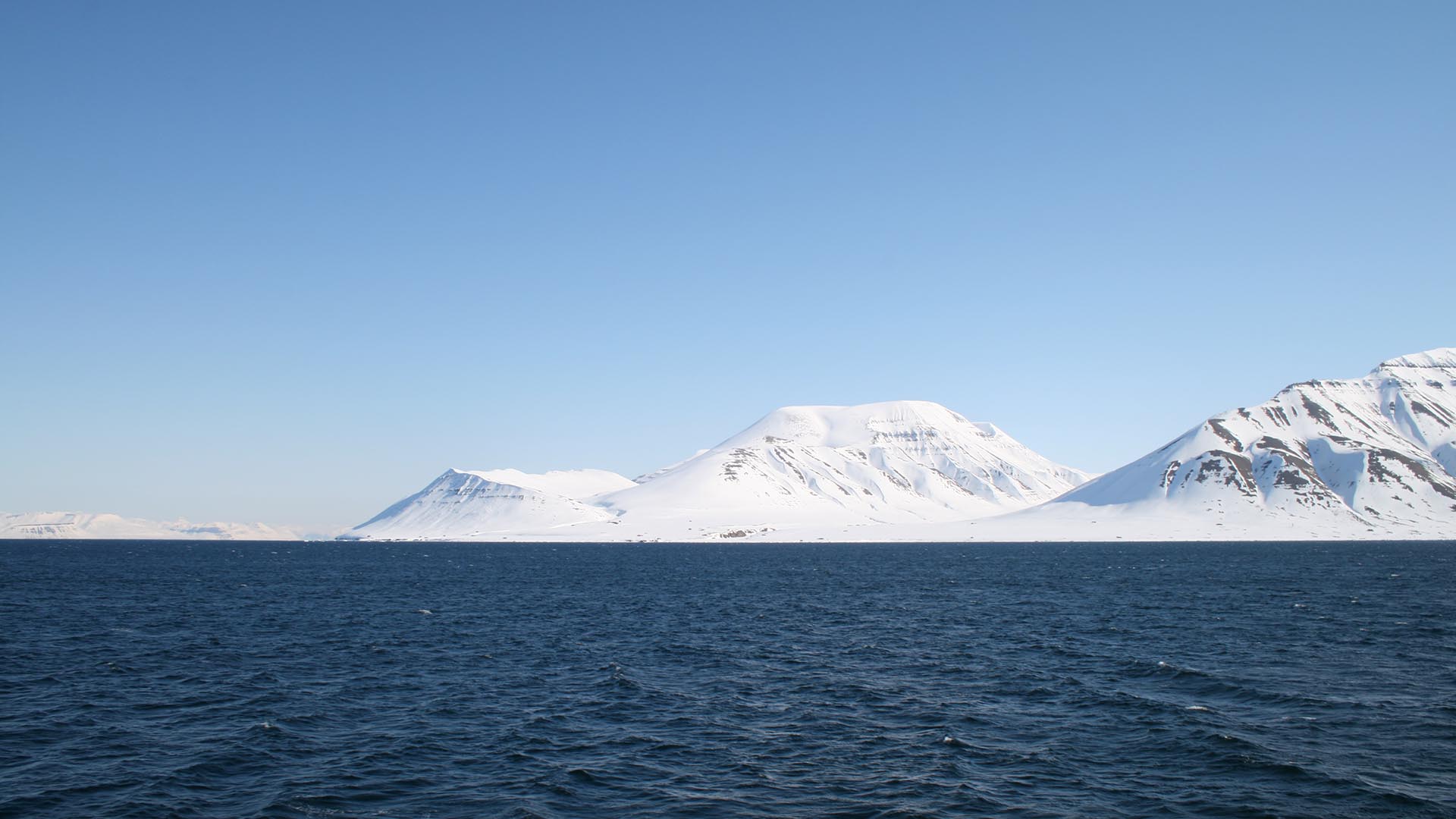 Sustainable cod fishing in the Barents Sea | Marine Stewardship Council