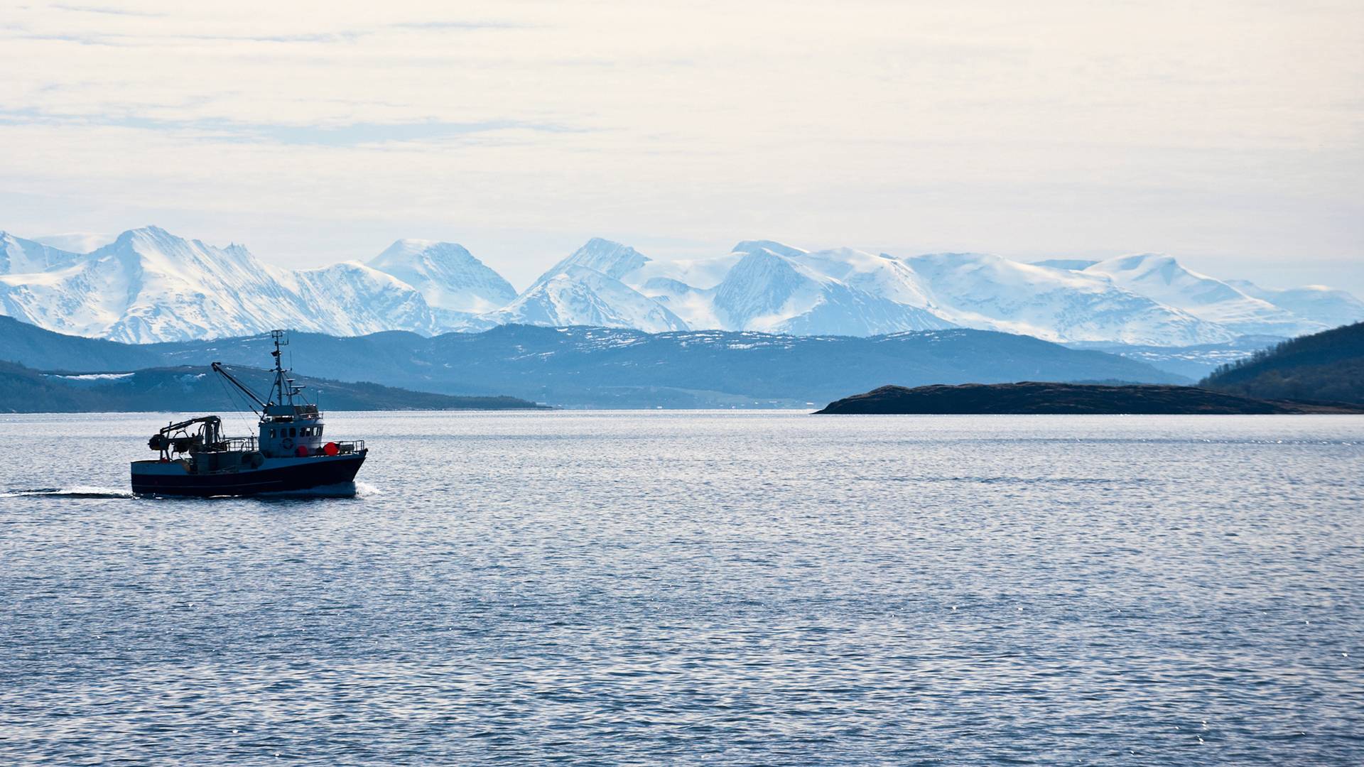 The MSC Standards | Marine Stewardship Council