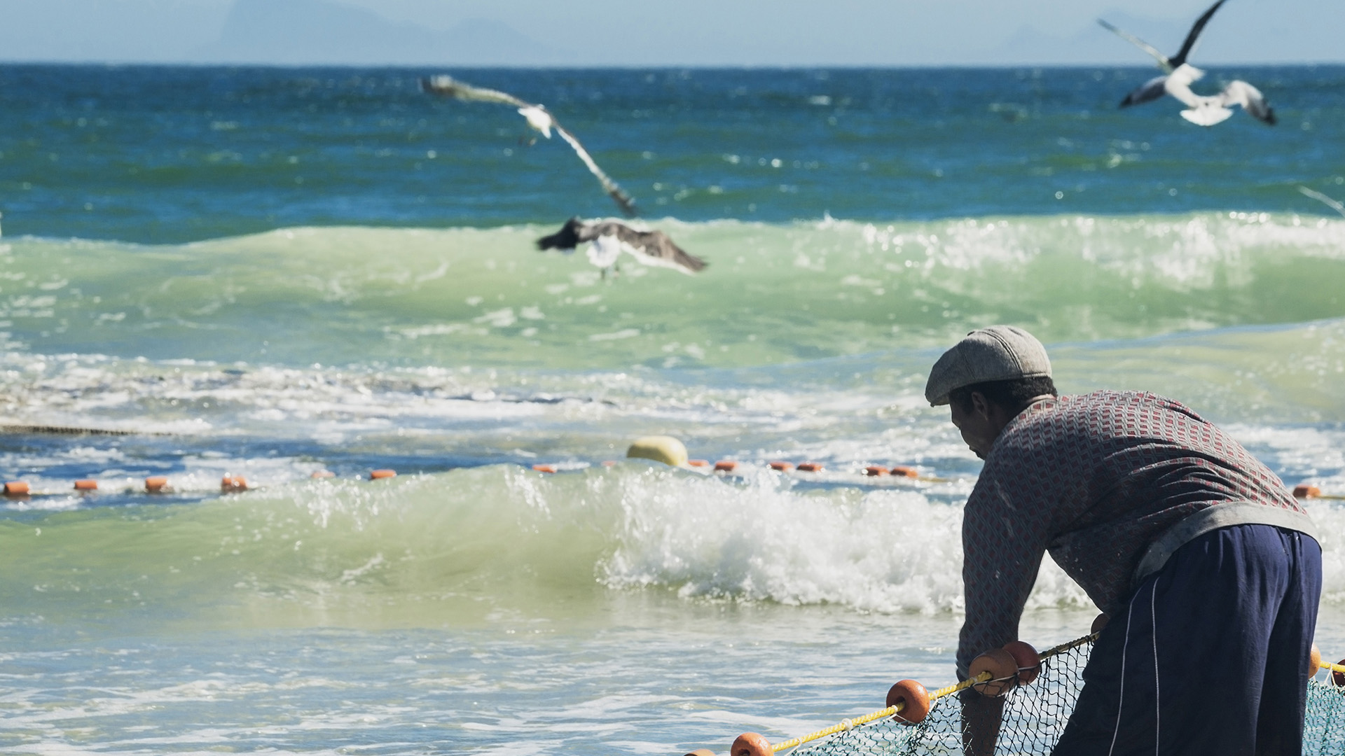 Mejoras en las pesquerías | Marine Stewardship Council