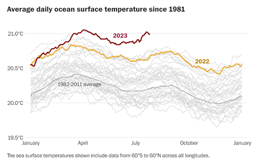 Marine Heatwaves and Sustainable Fishing | Marine Stewardship Council ...