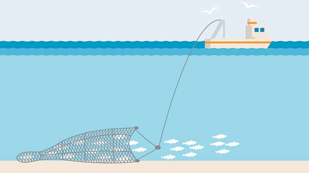 Fishing methods and gear types | Marine Stewardship Council | Marine ...