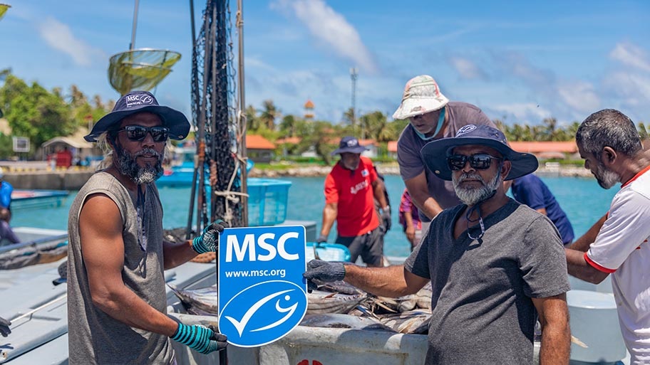 Maldives skipjack tuna: a sustainability success story | Marine ...